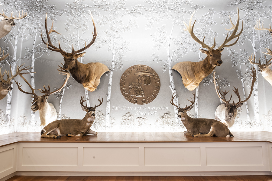 2019 Warren Wildlife Gallery photo shoot – Warren Wildlife Gallery