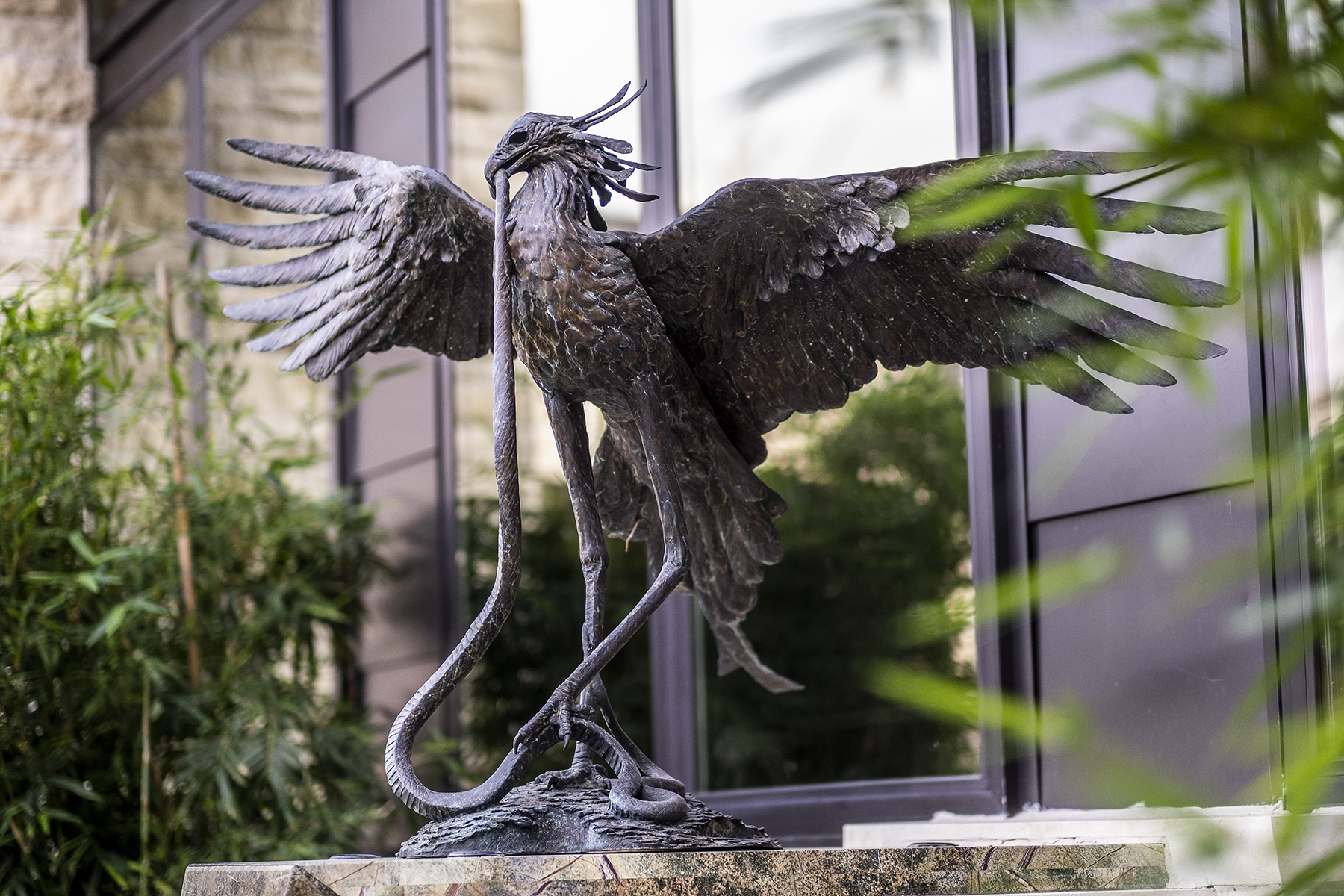 2019 Warren Wildlife Gallery photo shoot – Warren Wildlife Gallery